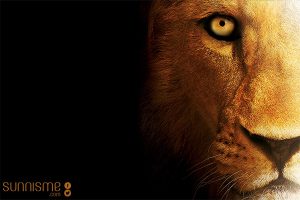 Saydinna Ali le Lion d’Allâh - Sunnisme.com